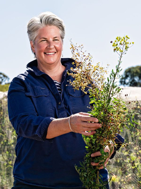 Publications | Retallack Ecology | Retallack Ecology